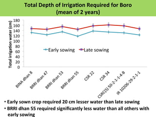 Optimising irrigation requirements of boro rice through timely sowing ...