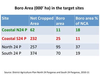 Optimising irrigation requirements of boro rice through timely sowing ...