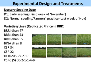Optimising irrigation requirements of boro rice through timely sowing ...