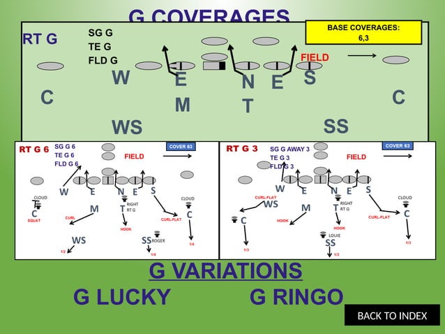 3-4 Defensive Playbook - Fronts, Coverages, & Blitz's | PPTX