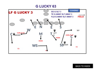 3-4 Defensive Playbook - Fronts, Coverages, & Blitz's | PPTX