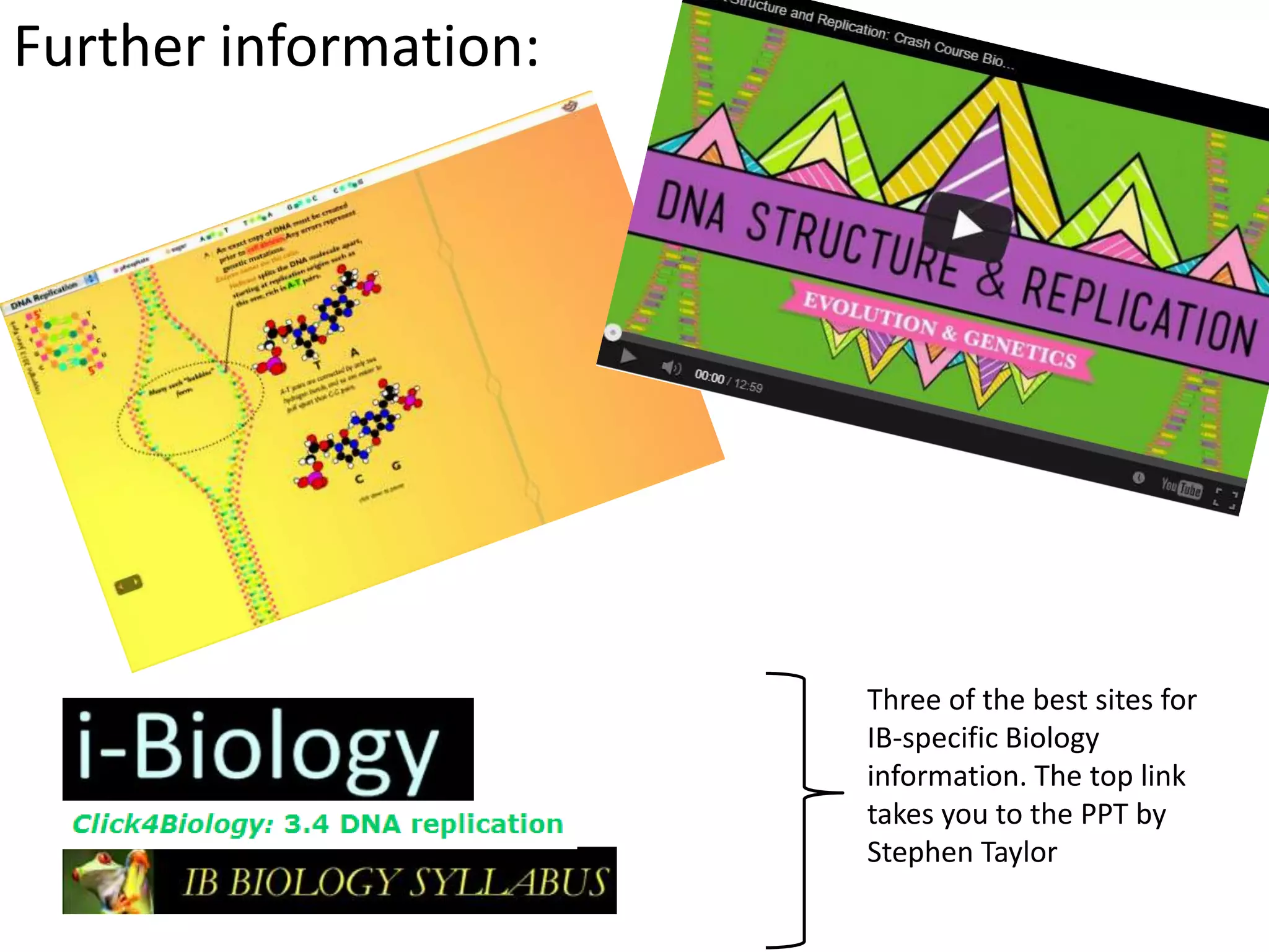 IB Biology Core 3.4: DNA Replication | PPTX | Chemistry | Science