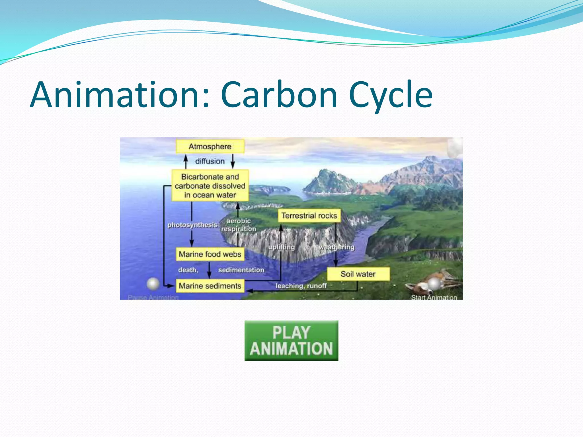 3 4 ecosystem cycles | PPTX