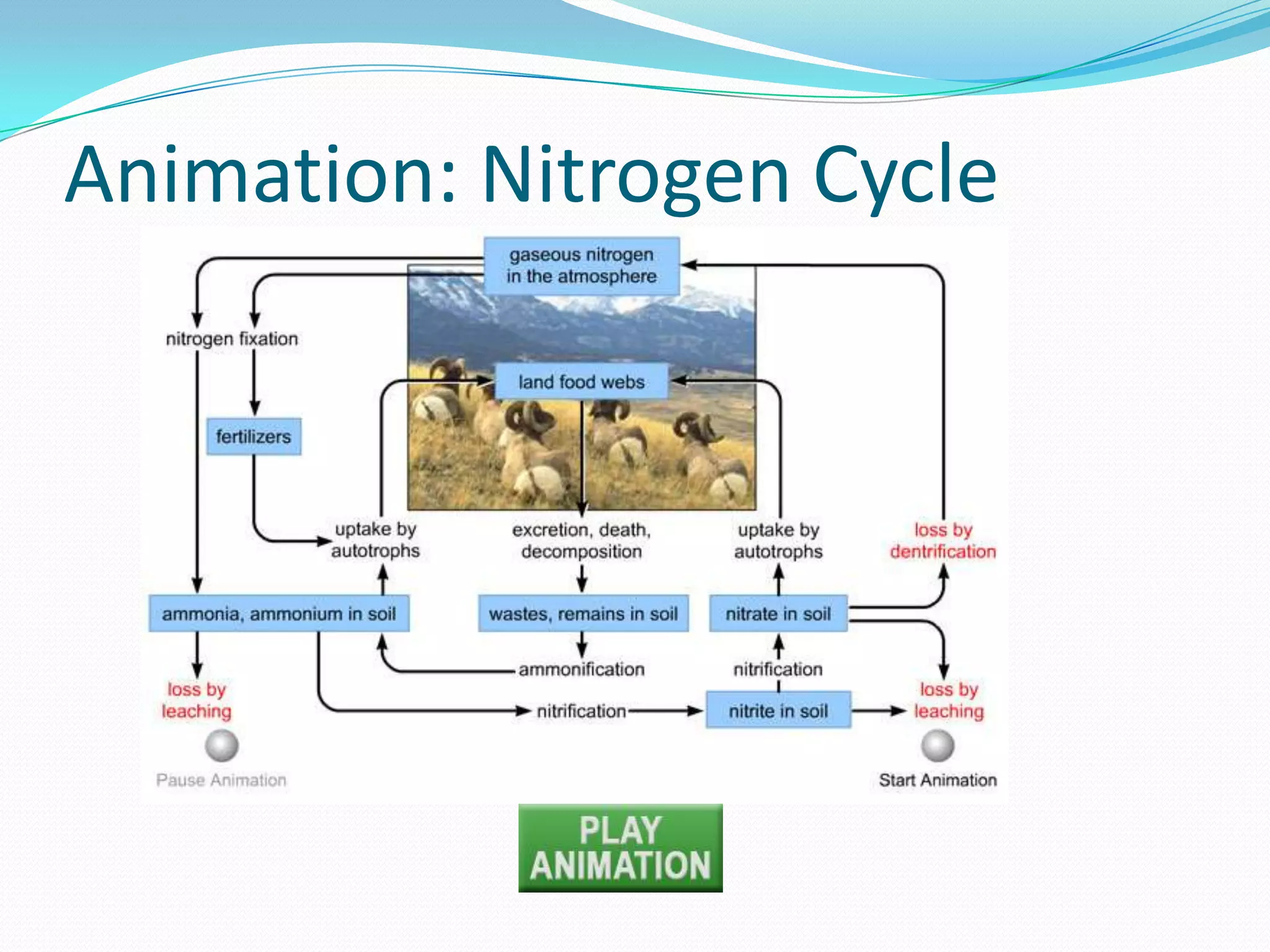 3 4 ecosystem cycles | PPTX