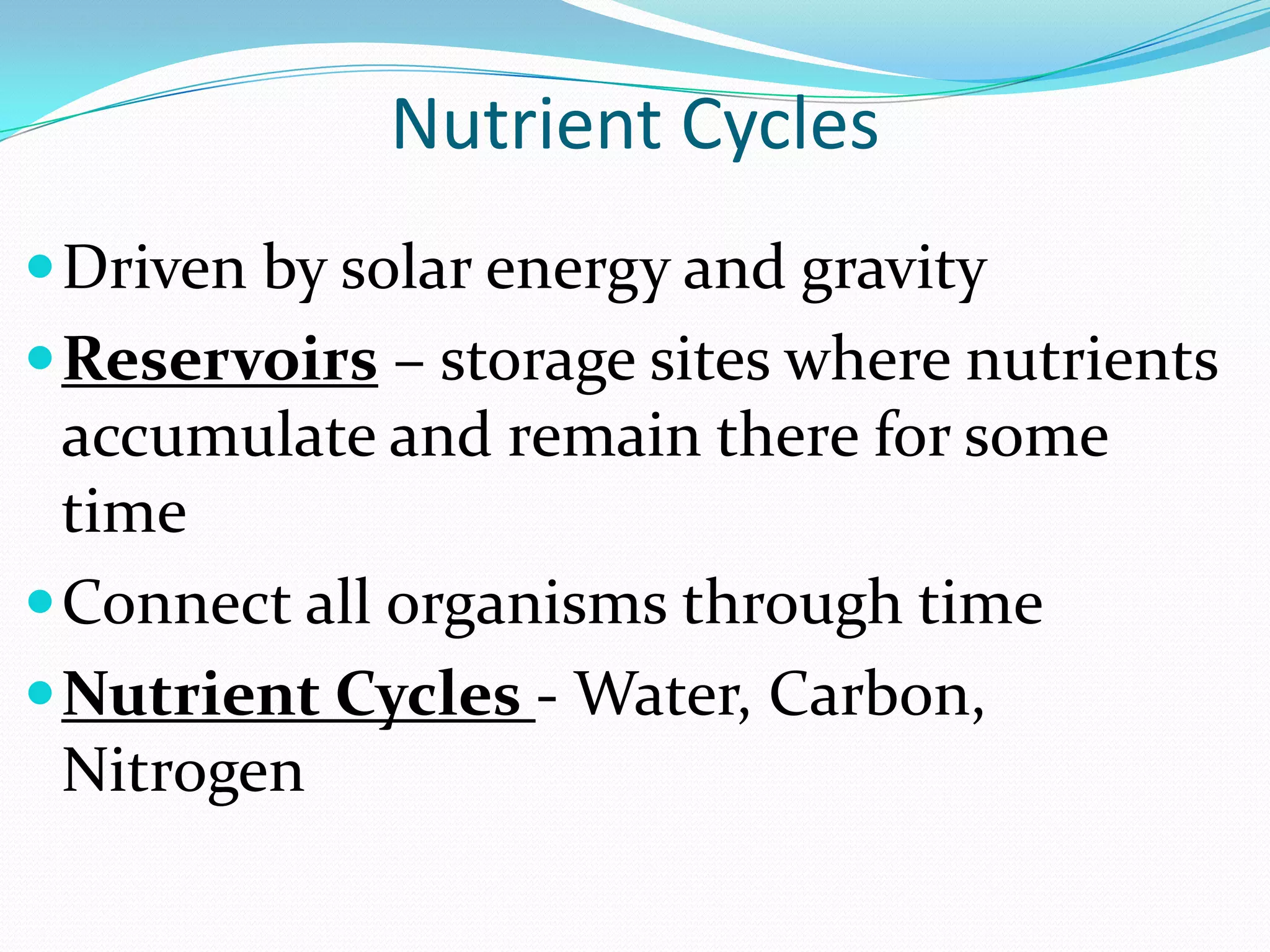 3 4 ecosystem cycles | PPTX