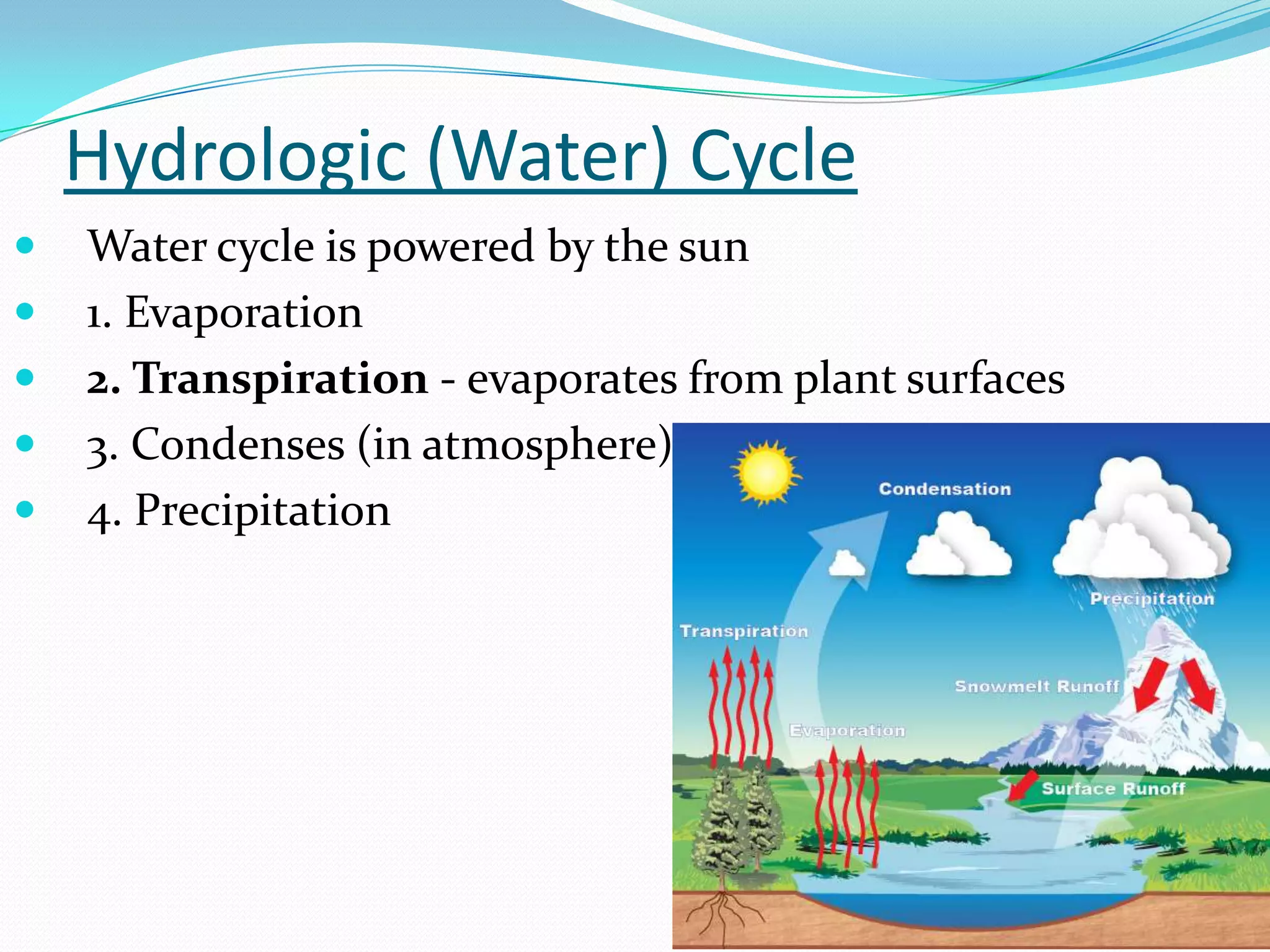 3 4 ecosystem cycles | PPTX