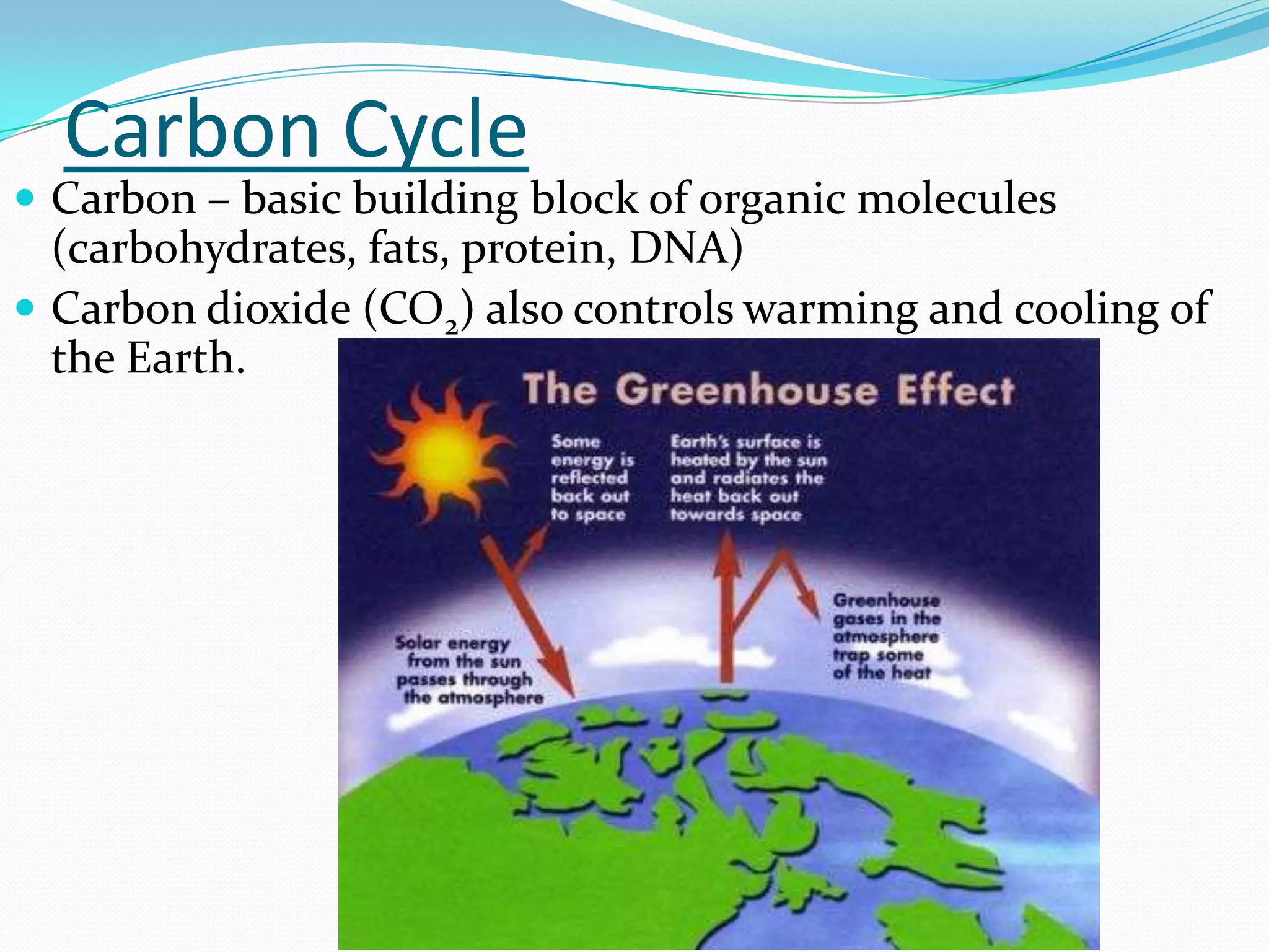 3 4 ecosystem cycles | PPTX