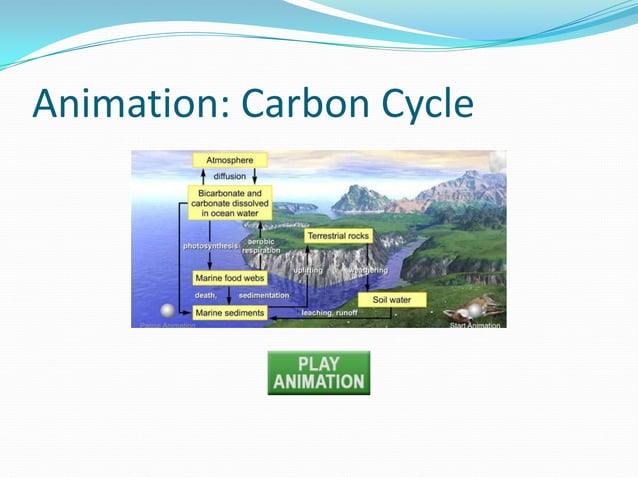 3 4 ecosystem cycles | PPTX