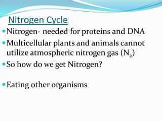 3 4 ecosystem cycles | PPTX