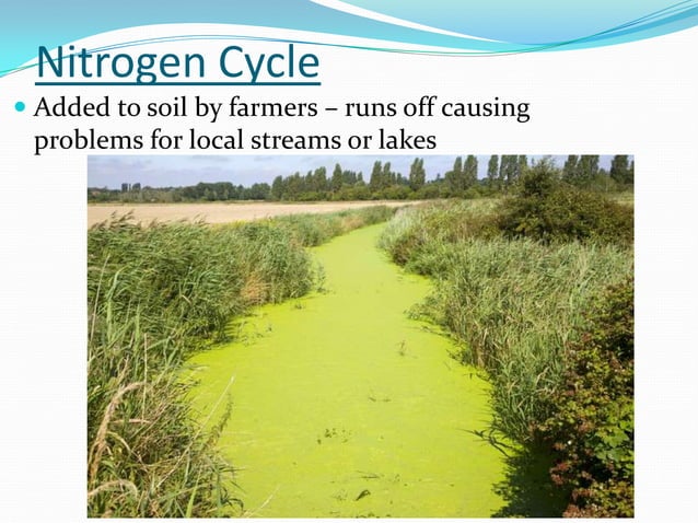 3 4 ecosystem cycles | PPTX