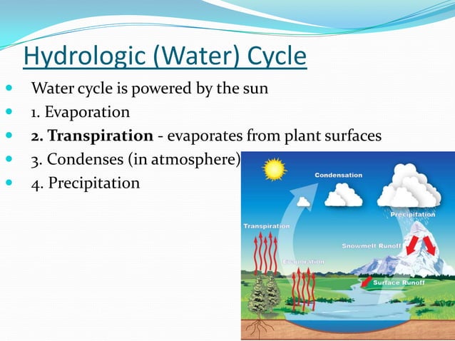 3 4 ecosystem cycles | PPTX