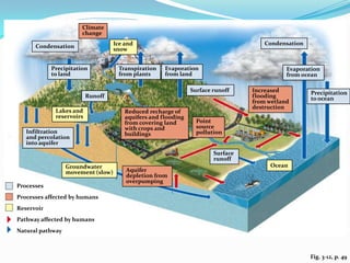 3 4 ecosystem cycles | PPTX