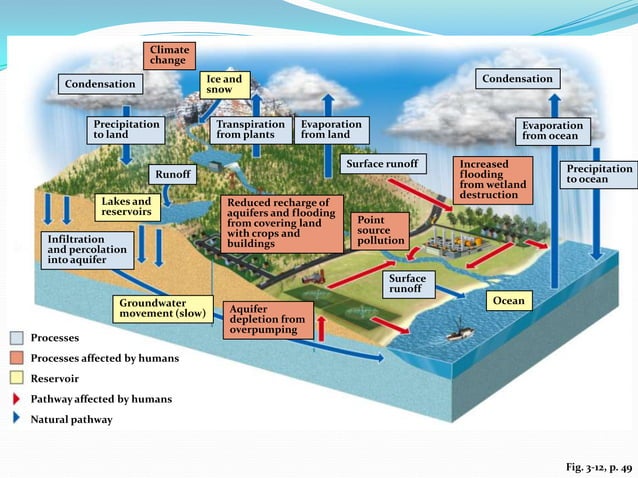 3 4 ecosystem cycles | PPTX