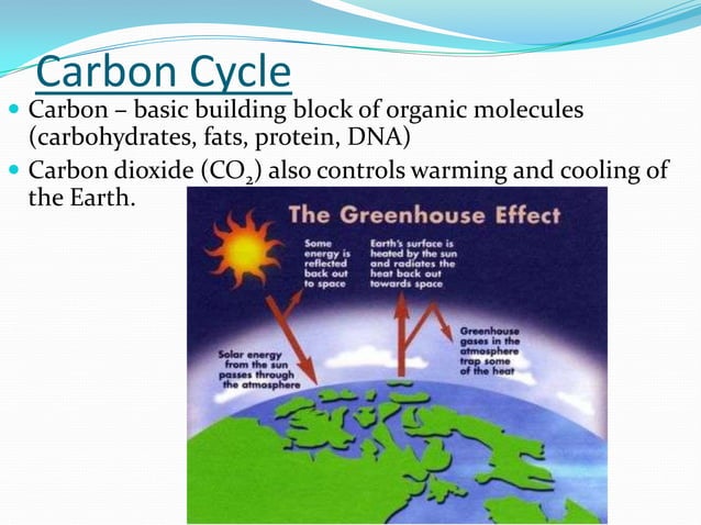 3 4 ecosystem cycles | PPTX