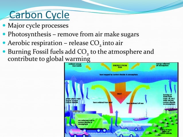 3 4 ecosystem cycles | PPTX
