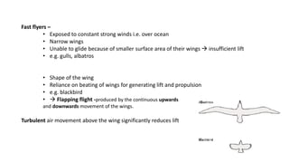 3 -4 Locomotion and gait.pdf