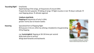 3 -4 Locomotion and gait.pdf