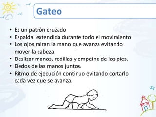 observación y evaluación de patrones motores fundamentales. | PPTX