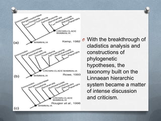 3.4 phylocode | PPTX
