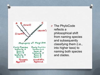 3.4 phylocode | PPTX