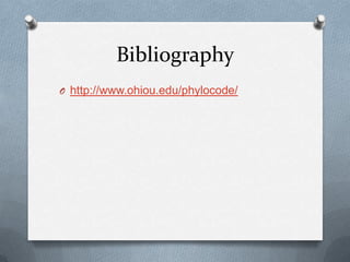 3.4 phylocode | PPTX