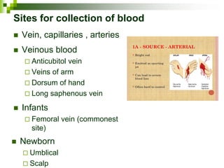 Bood, its collection, sites and techniques.pdf | First Aid | Injuries
