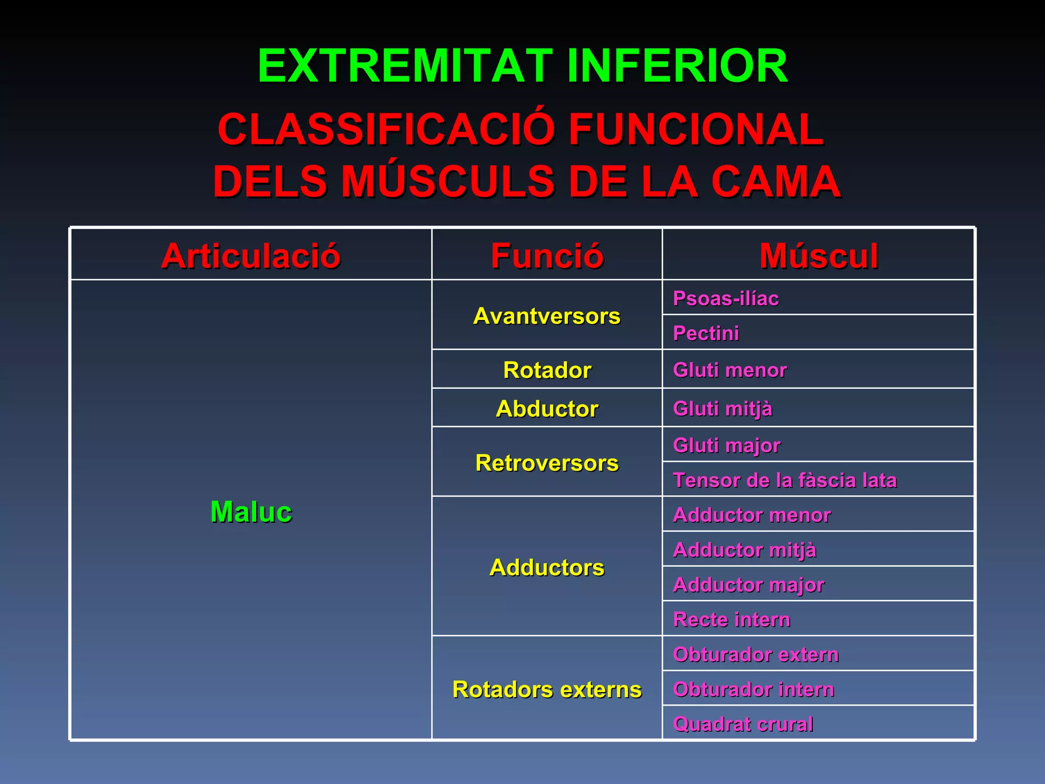 3.5.Sistema Muscular | PPT