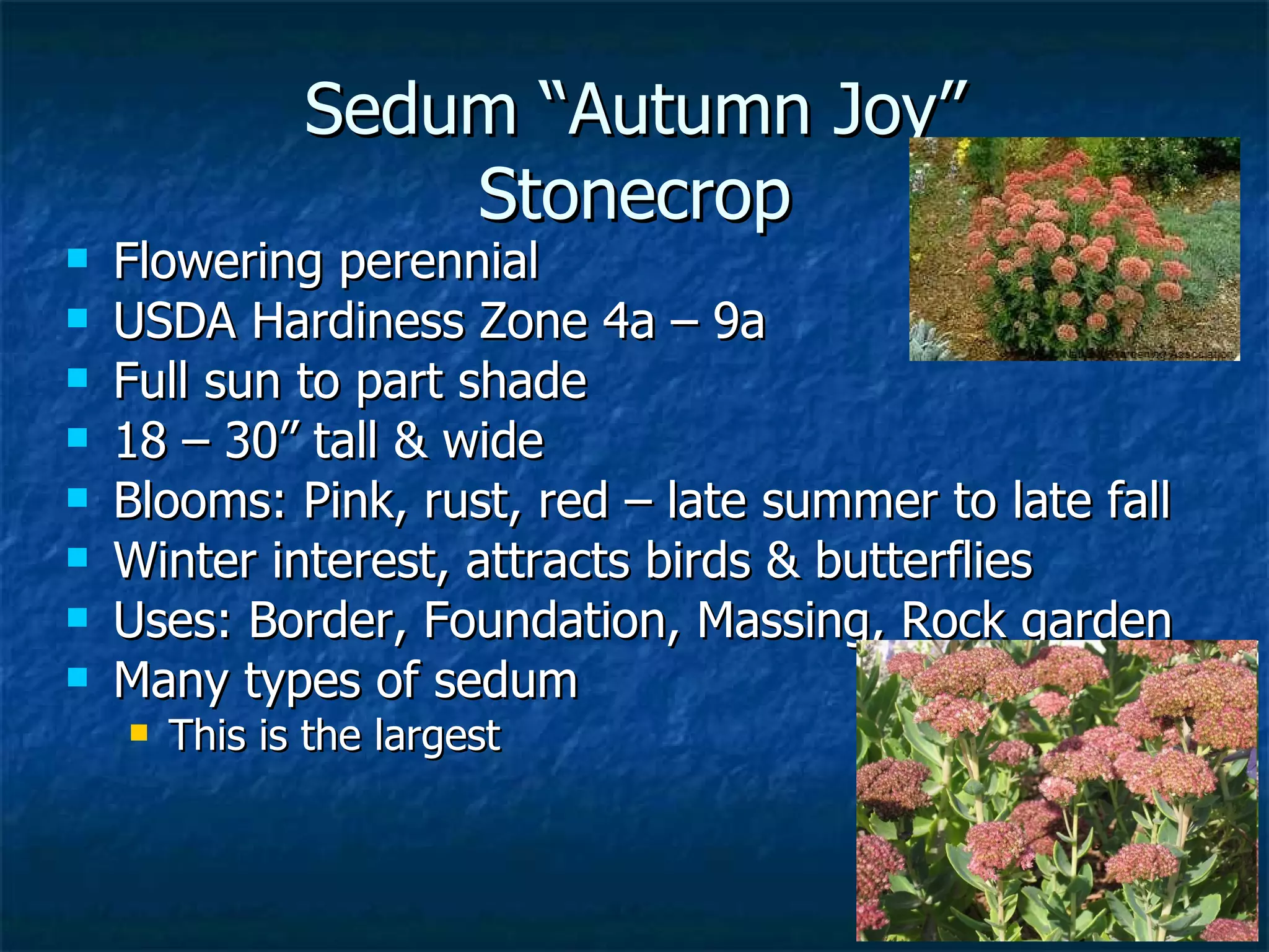 3 9 Growing Media | PPT