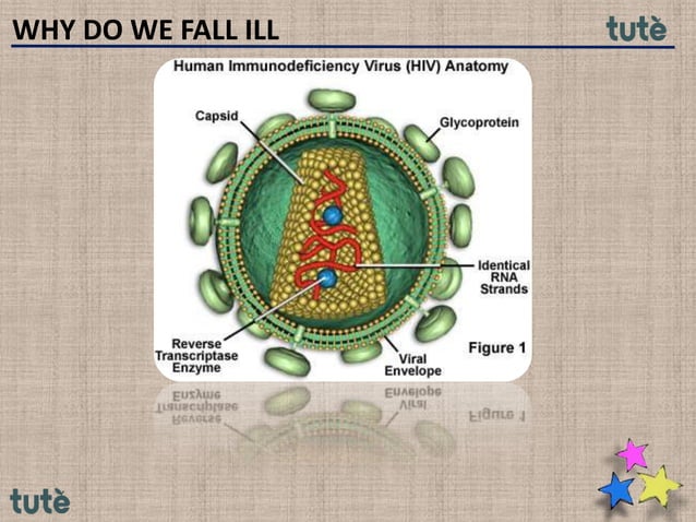 9th- Why Do We Fall Ill - Cbse - Biology | PPT