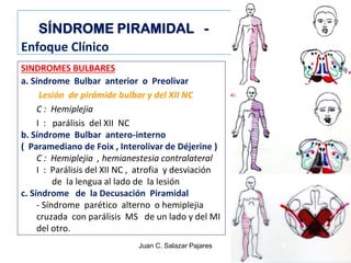 SINDROMES NEUROLÓGICOS - I Sd. PIRAMIDAL - NEURONA MOTORA SUPERIOR | PDF