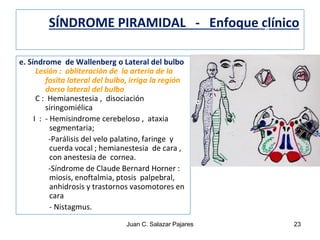 SINDROMES NEUROLÓGICOS - I Sd. PIRAMIDAL - NEURONA MOTORA SUPERIOR | PDF
