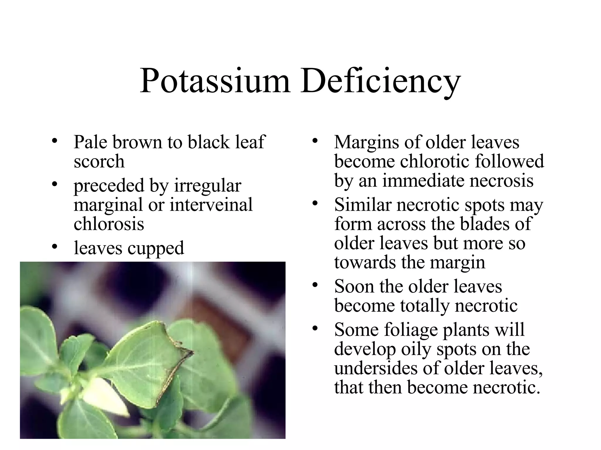 3 Abiotic Diagnosis Nutritional Deficiencies Long | PPT