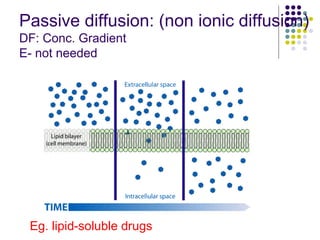 Drug absorptionvpp | PPT
