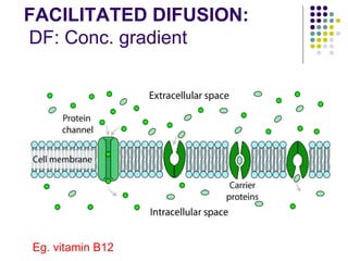 Drug absorptionvpp | PPT