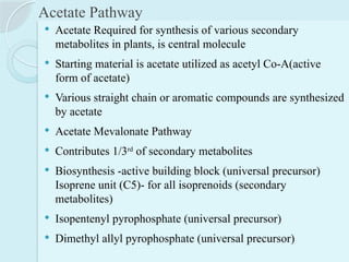 3-Acetate-mevalonate-pathway-1 PPT.Tpptx | PPTX