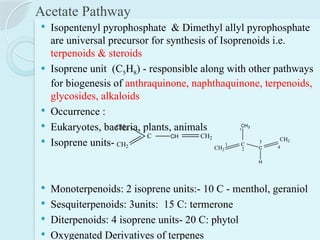 3-Acetate-mevalonate-pathway-1 PPT.Tpptx | PPTX
