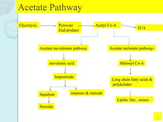 3-Acetate-mevalonate-pathway-1 PPT.Tpptx | PPTX