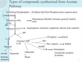 3-Acetate-mevalonate-pathway-1 PPT.Tpptx | PPTX
