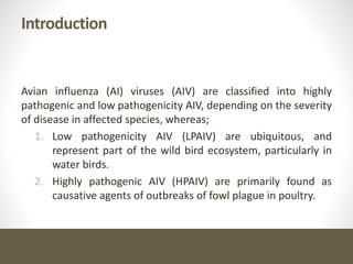 Avian Influenza Vaccination | PPTX