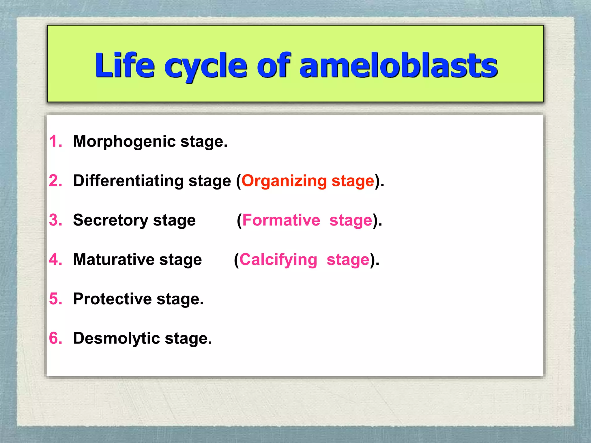 Amelogenesis Dr. Sherif Hassan | PPTX