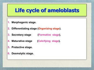 Amelogenesis Dr. Sherif Hassan | PPTX