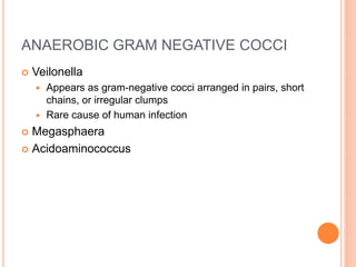 Anaerobes | PPTX