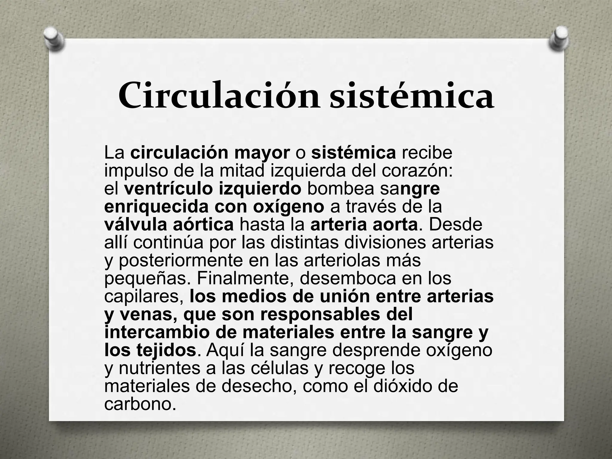 Anatomía Funcional del Corazón - como funciona | PPTX | Heart and ...