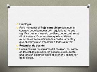 Anatomía Funcional del Corazón - como funciona | PPTX