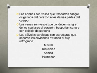 Anatomía Funcional del Corazón - como funciona | PPTX