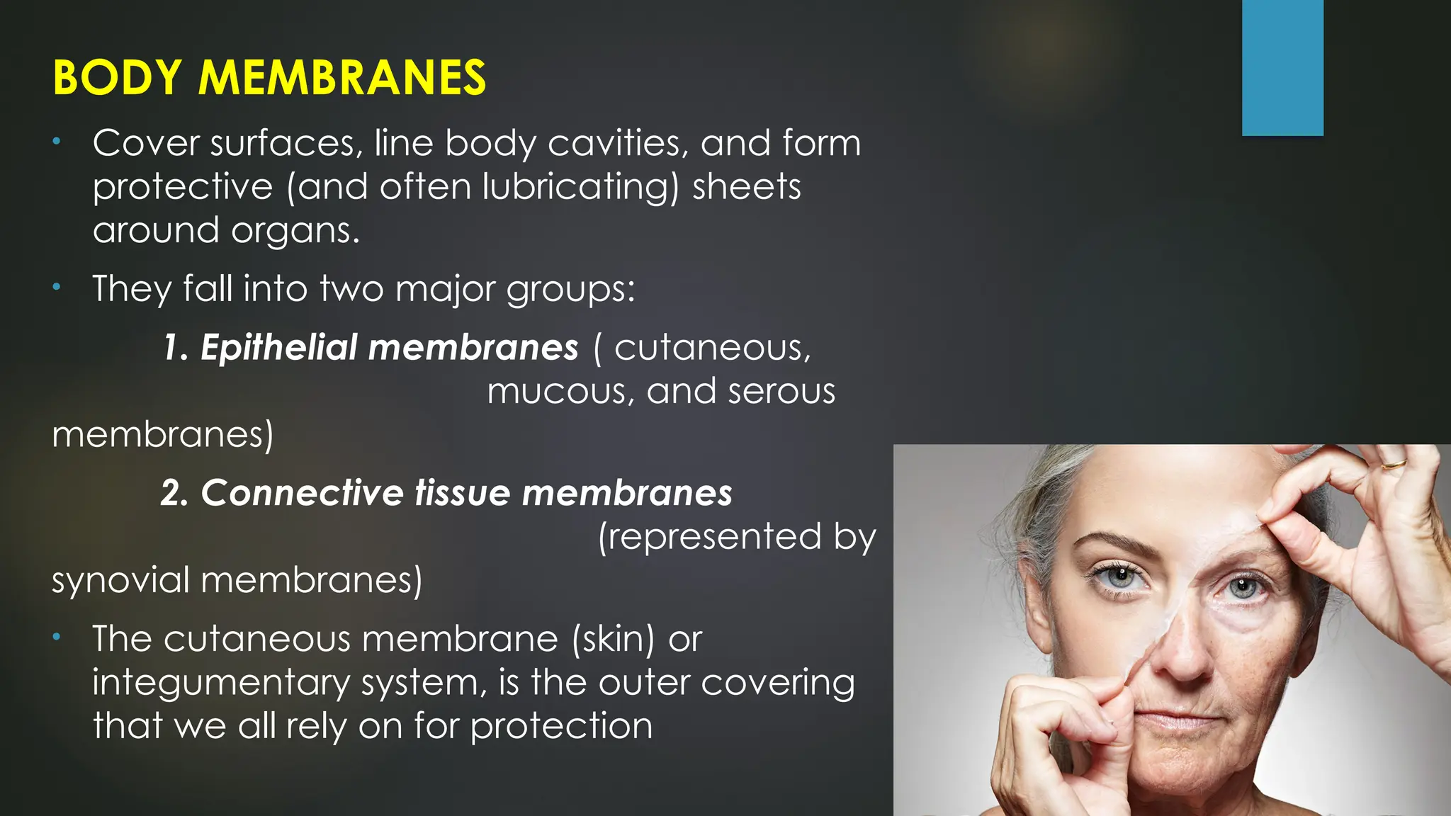 3-ANATOMY-2022-SKIN-AND-BODY-MEMBRANES.pptx