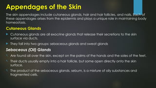 3-ANATOMY-2022-SKIN-AND-BODY-MEMBRANES.pptx