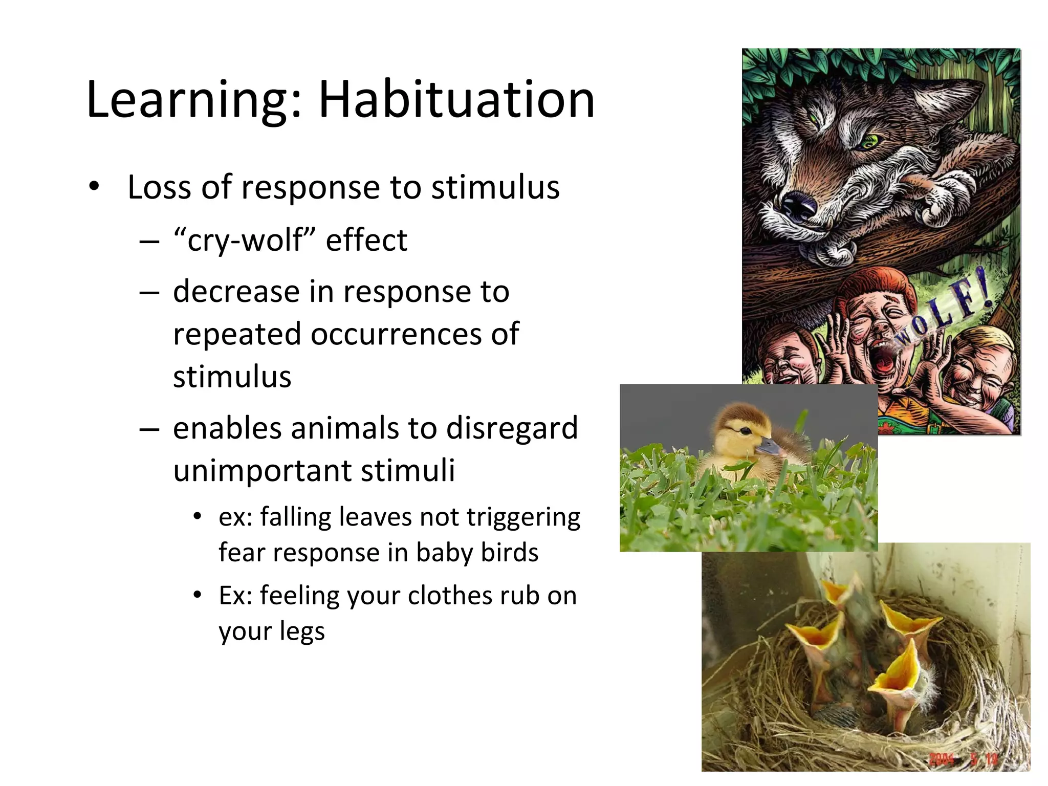 Animal Behavior | PPT
