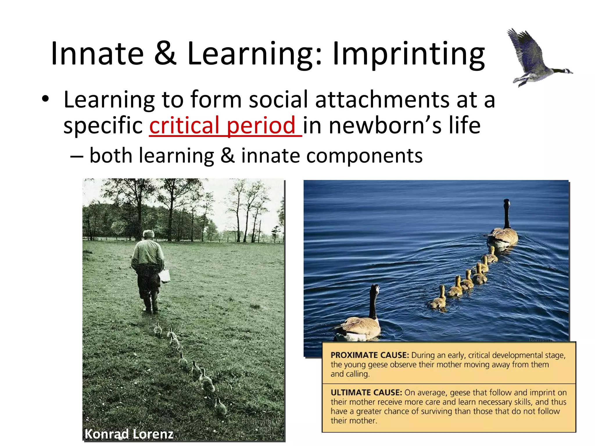 Animal Behavior | PPT