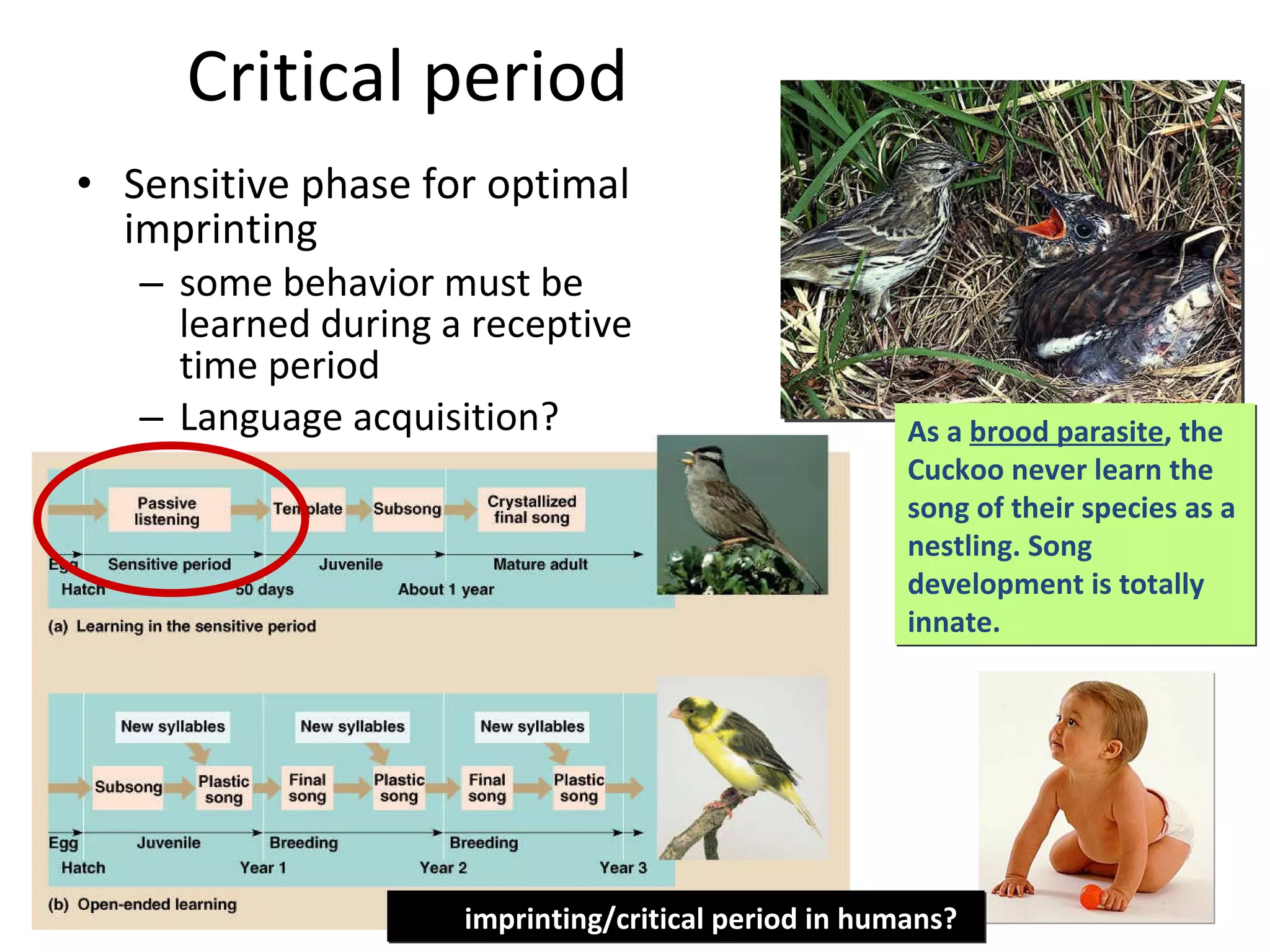 Animal Behavior | PPT